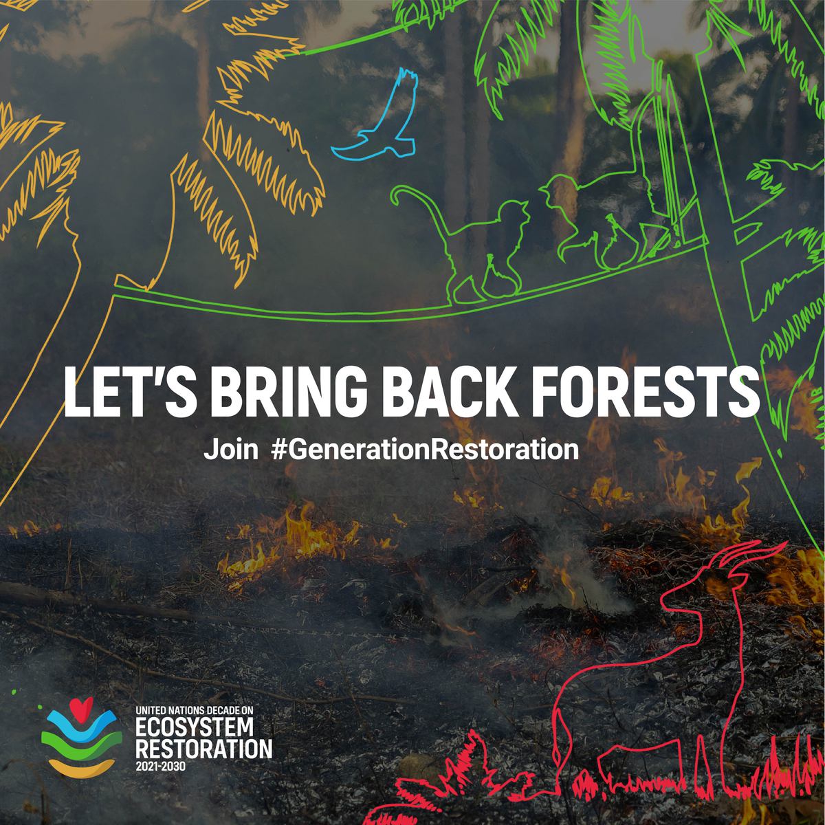 Environmental Bamboo Foundation As Actor Of The Un Decade On Ecosystem